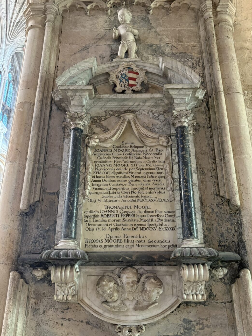 Moore, John – Virtues of the Dead